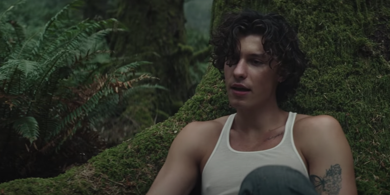 Shawn Mendes llega con 'Wonder', el inicio de su cuarto álbum