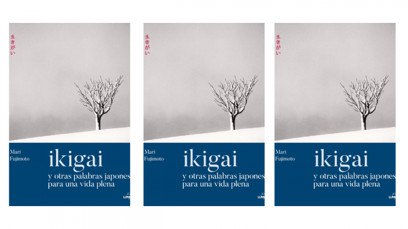 'Ikigai y otras palabras japonesas para una vida plena': belleza y ...